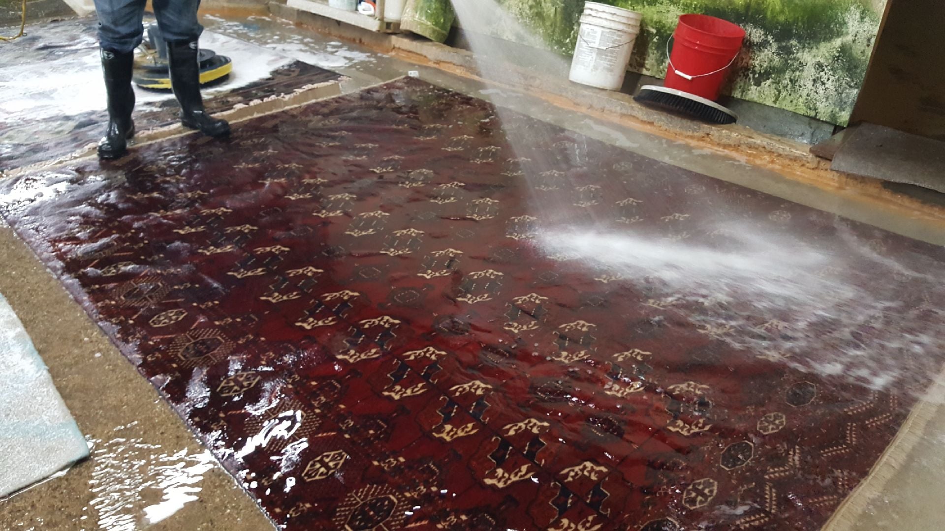 Rug Cleaning Sf